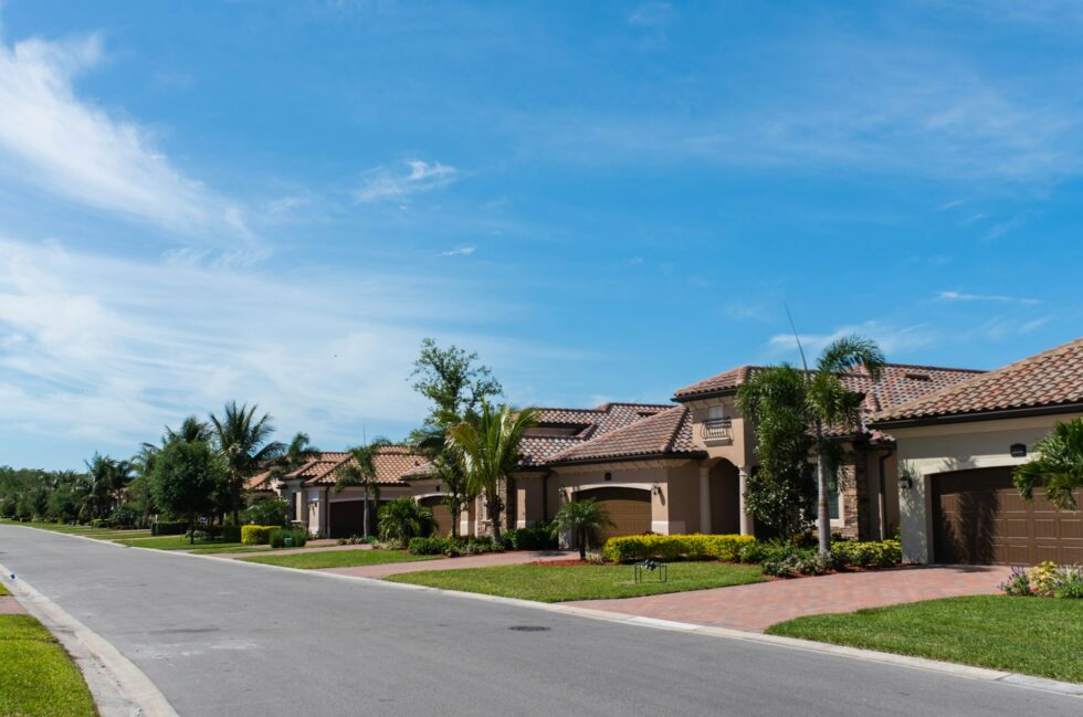 Tree Care Strategies Every Property Owner Should Know | The Hankful House